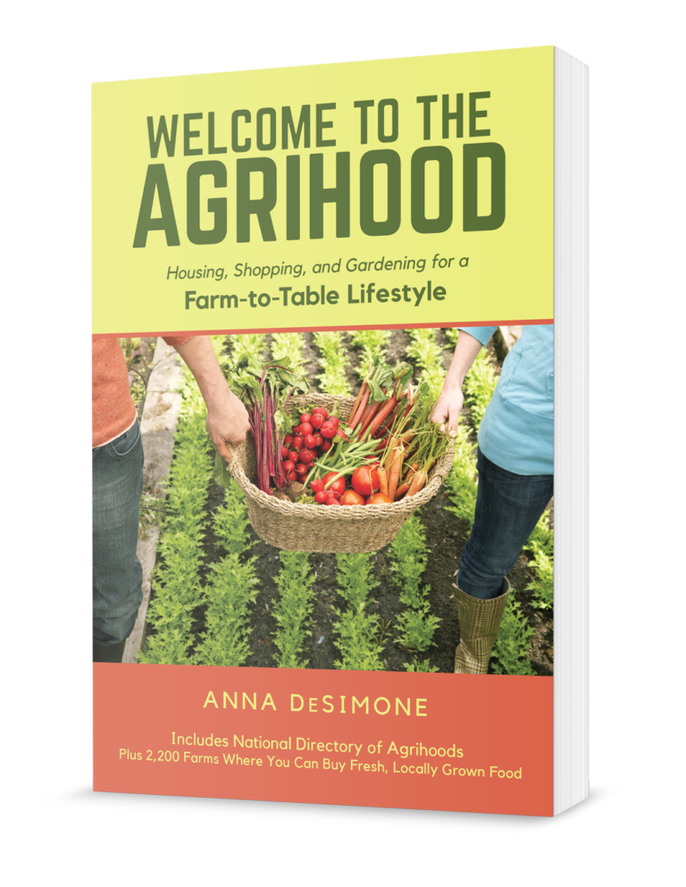 Home - Anna DeSimone