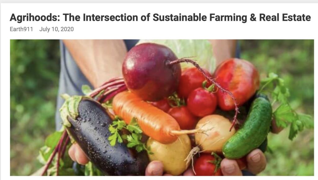 Feature Articles - Anna DeSimone